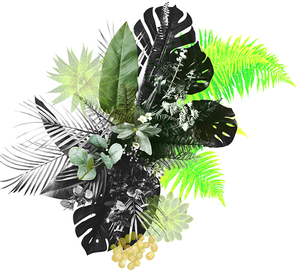 Achieving nature positive: how can we scale pivotal business model and ...