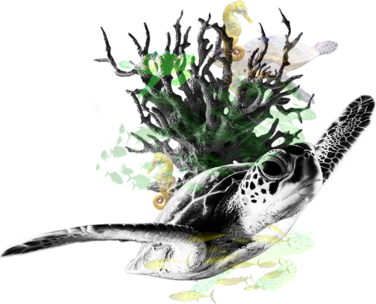 Nature Positive - A Global Goal for Nature