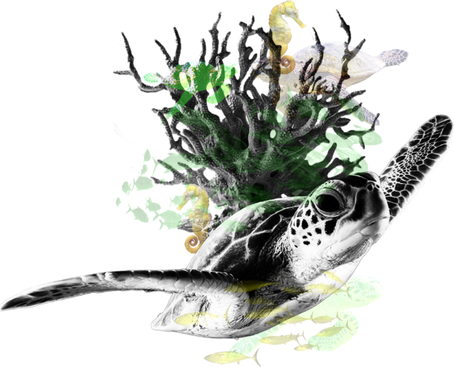 Nature Positive - A Global Goal for Nature