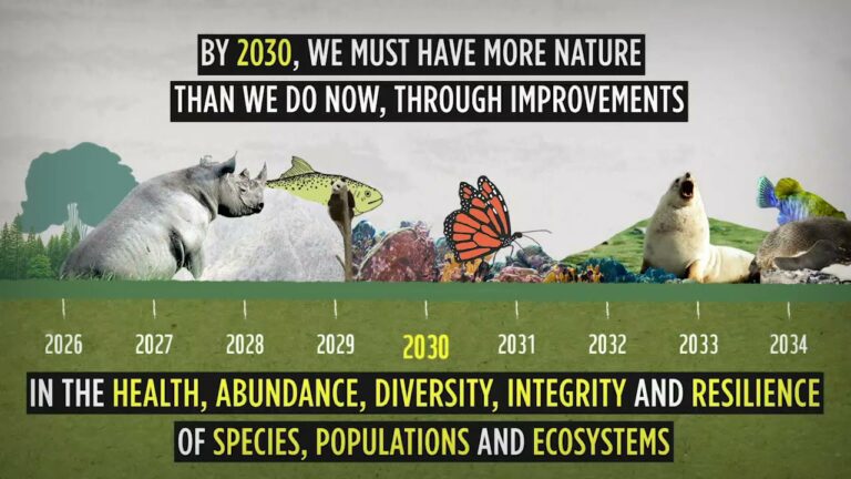 Nature Positive - A Global Goal for Nature