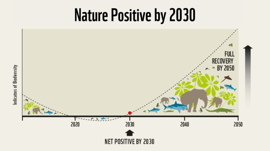 Nature Positive - A Global Goal for Nature