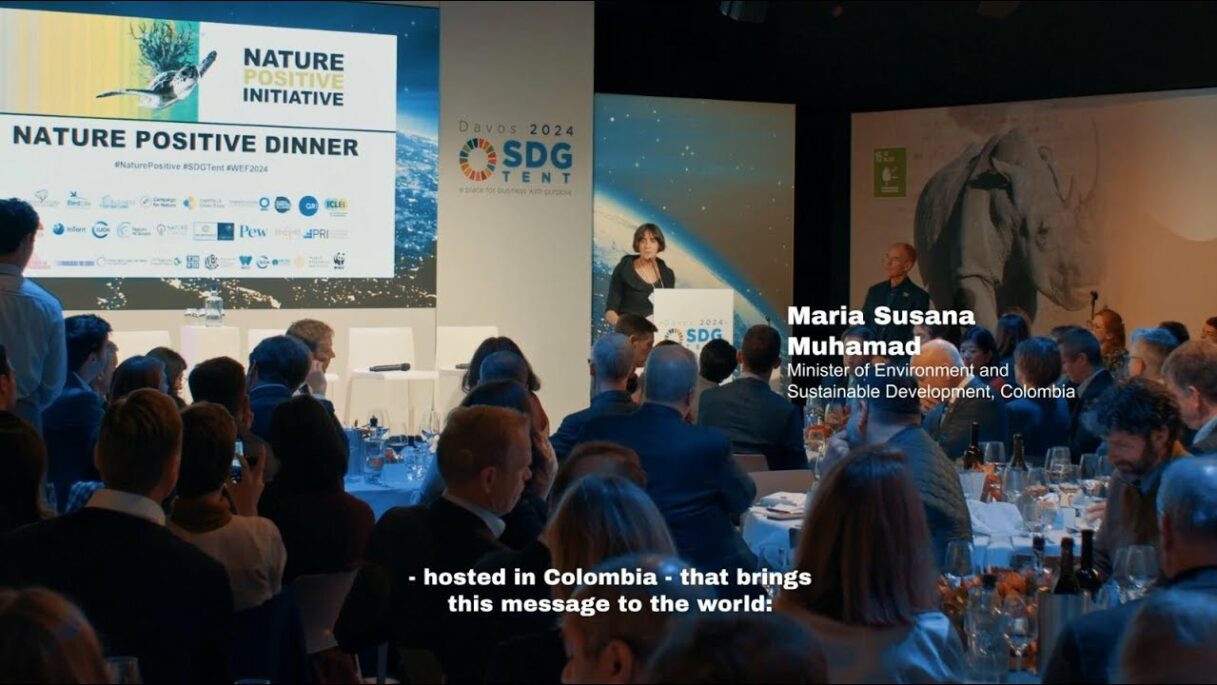 Nature Positive Initiative at Davos, 2024 - Nature Positive