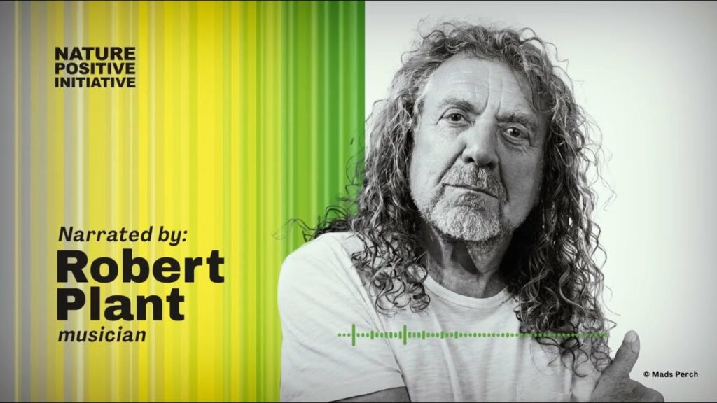 What is Nature Positive?