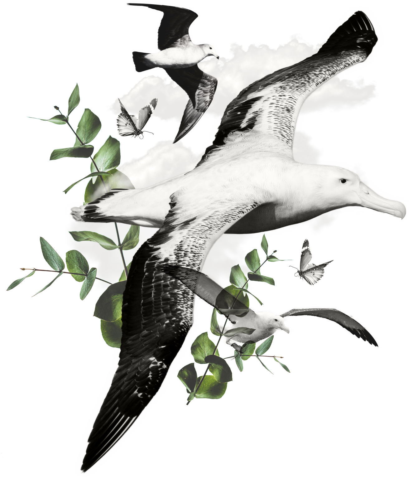 About Nature Positive