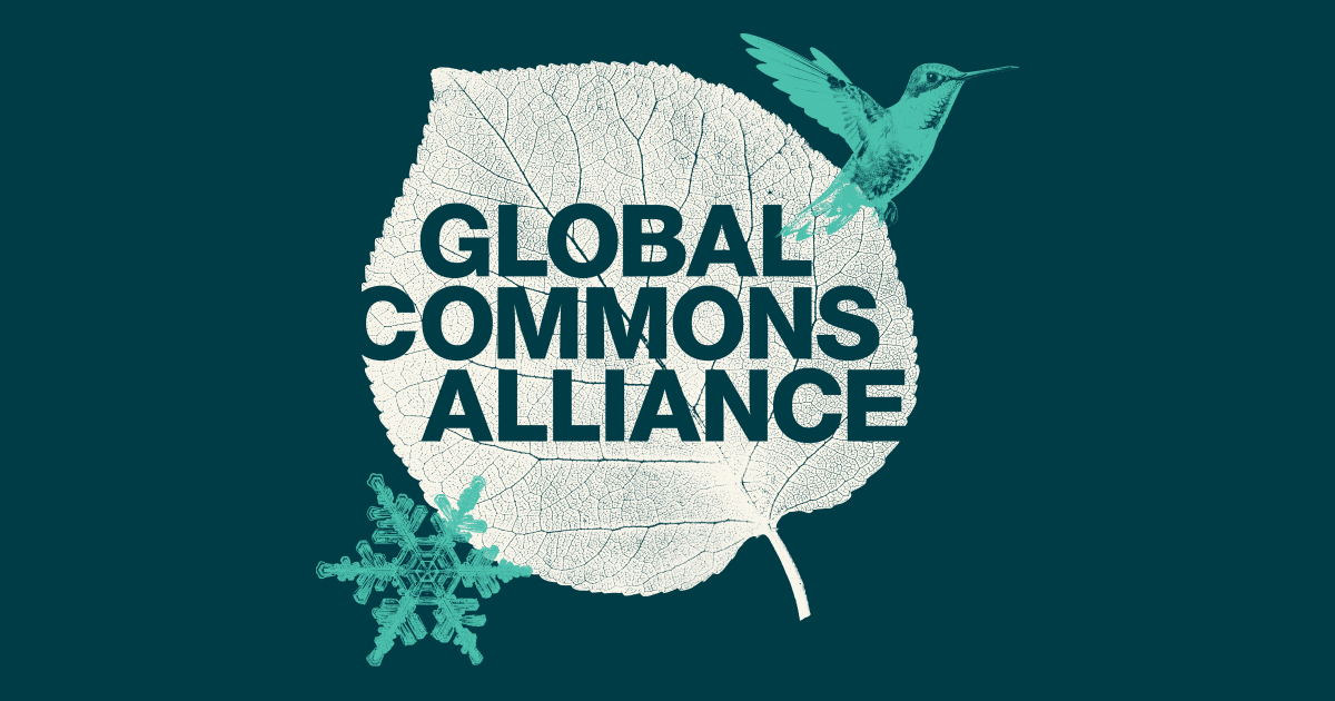 Technology and Corporate Nature Action: Strengthening Accountability in ...
