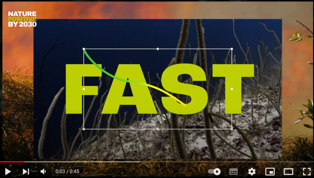 Nature Positive on the global stage at New York Climate Week