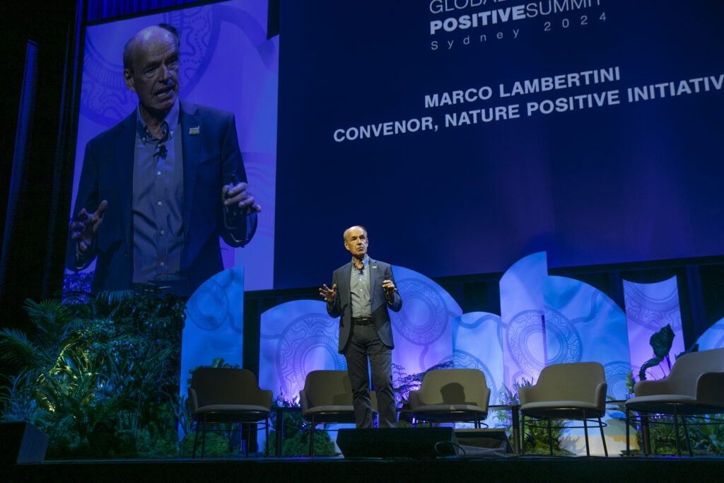 Nature Positive on the global stage at New York Climate Week