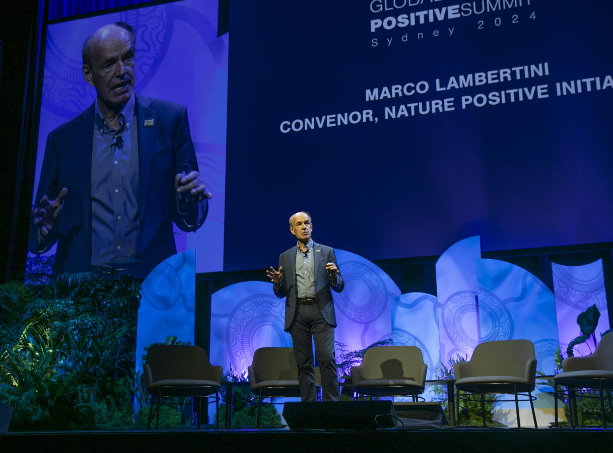Nature Positive on the global stage at New York Climate Week