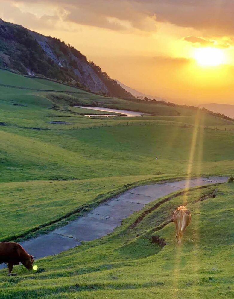 Global Nature Positive Summit