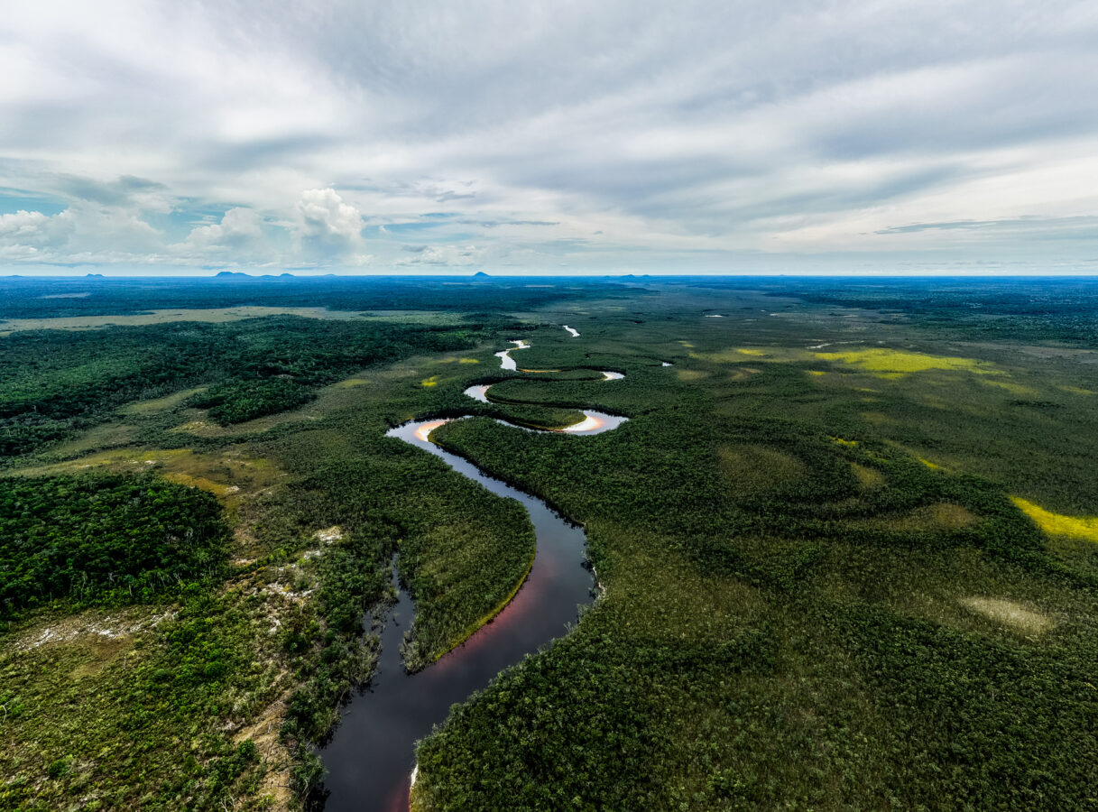 Last chance to review: finalizing a state of nature metrics framework ...
