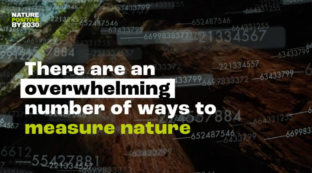 Measuring Nature Positive