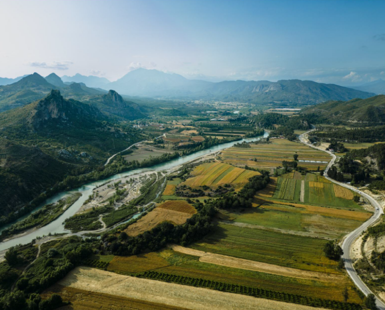 TNFD, SBTN and GRI take key step towards embedding state of nature metrics